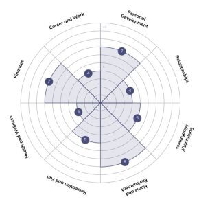 Elevate Your Well-being: Wheel of Life Assessment Questions - Quenza